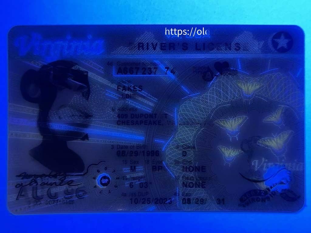 Virginia Driver License(VA 2023 PolyCard) - Card ID | Buy Scannable ...