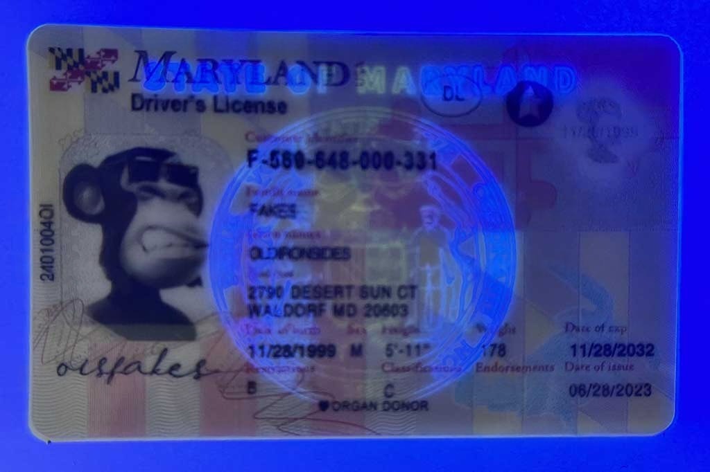 Maryland Driver License(New MD 2022 PolyCard) - Card ID | Buy Scannable ...